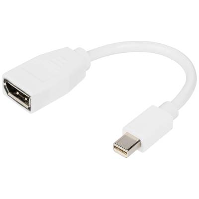 Digitus 2m Mini DisplayPort to female DP cable | VRC Online Shop